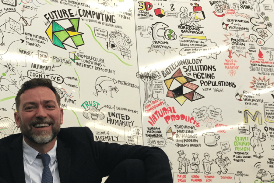 Knowledge Wall garantiert Übersicht /0/ studio animanova